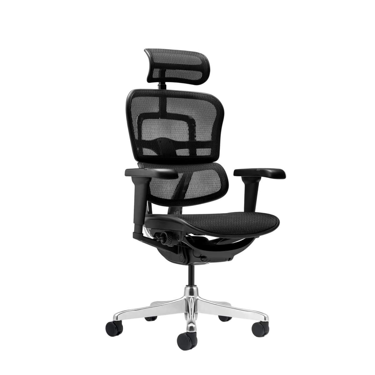 Ergohuman Ultra Mesh Ergonomic Chair (5 Years Limited Warranty ...